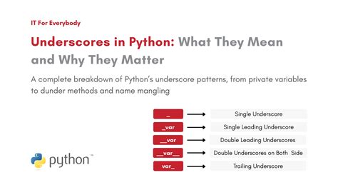 Everything You Need To Know About Python Sets — A Complete Guide By Aliyan Shaikh It For