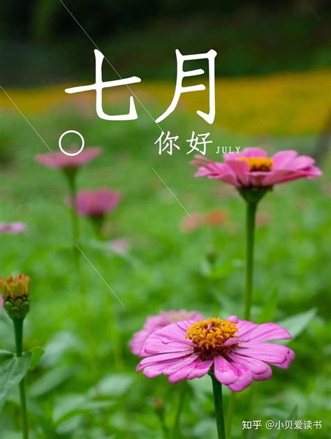 六月再见，七月你好！适合7月第一天发朋友圈的文案 知乎
