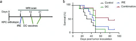Kpc Mice Survival After Treatment With Ire And Or Dc Vaccines A Download Scientific Diagram