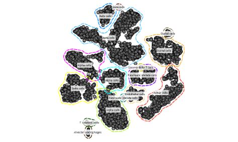 Scorange Workflows Single Cell Analysis