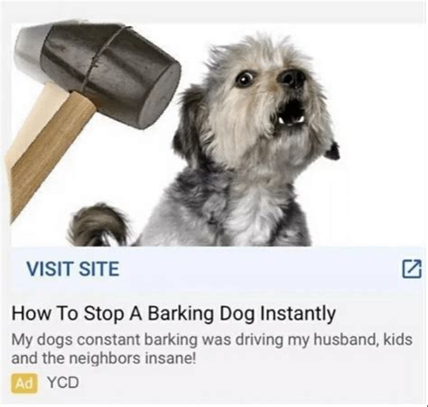 Profanity Check Heres An Image For Your Troubles Rprofanitycounter