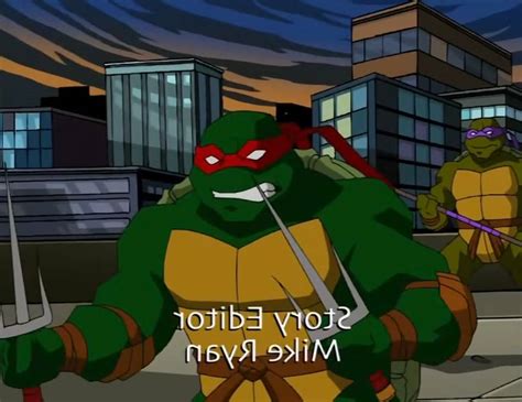 Tmnt 2003 Donnie And Raph 2 By Hedwieapotter On Deviantart