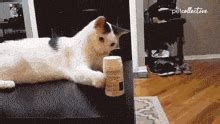Cat Knocking Things Off Tables  S Tenor