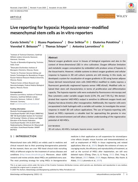 PDF Live Reporting For Hypoxia Hypoxia Sensormodified Mesenchymal Stem Cells As In Vitro