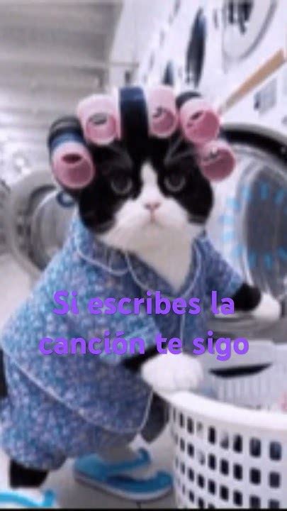 6 De Julio De 2024 Youtube