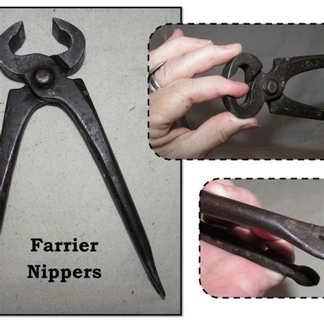 Antique Farrier Tool Etsy