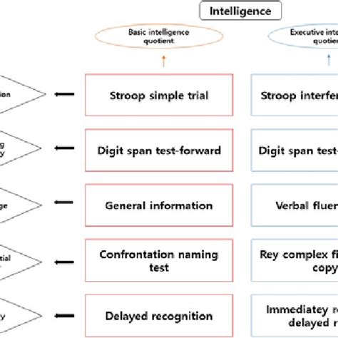 Composition Of Basic Intelligence Quotient And Executive Intelligence