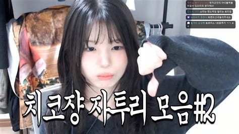 이제는 볼 수 없는 이사 전치코쟝 자투리 모음2 Youtube