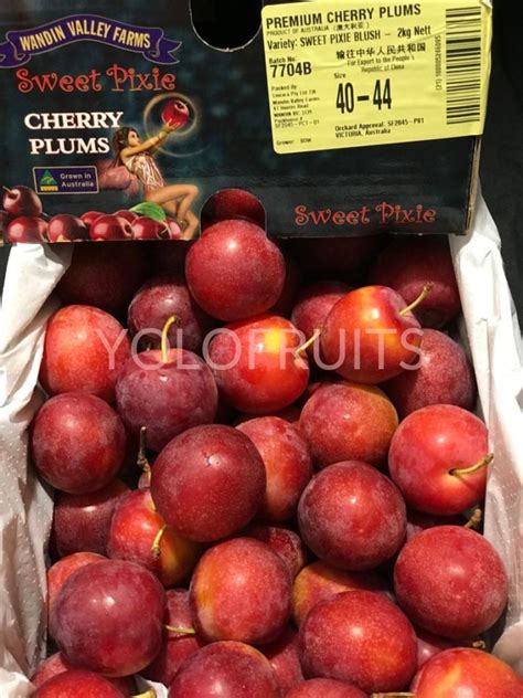 Australia Sweet Pixie Cherry Plums Set Of 4 Yolofruits