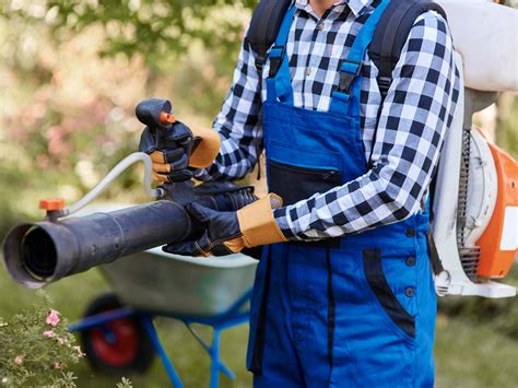 Laubsauger Und Laubbläser Bogner Technik