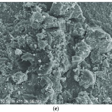 Shaobin Wang Professor Doctor Of Philosophy University Of Adelaide Adelaide School Of