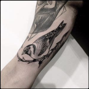 Tattoo Uploaded By Servo Jefferson • Goldfinch Tattoo Via Ig
