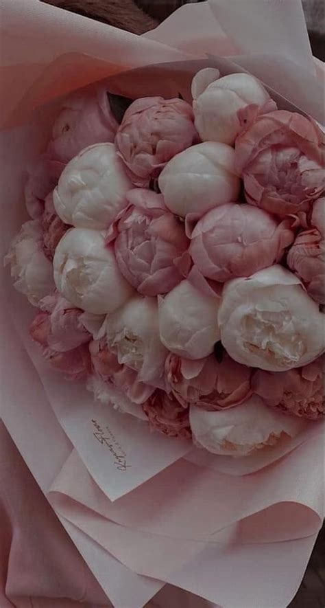 Peonies Bouquet Luxury Flowers Peonies Bouquet Pink Flowers
