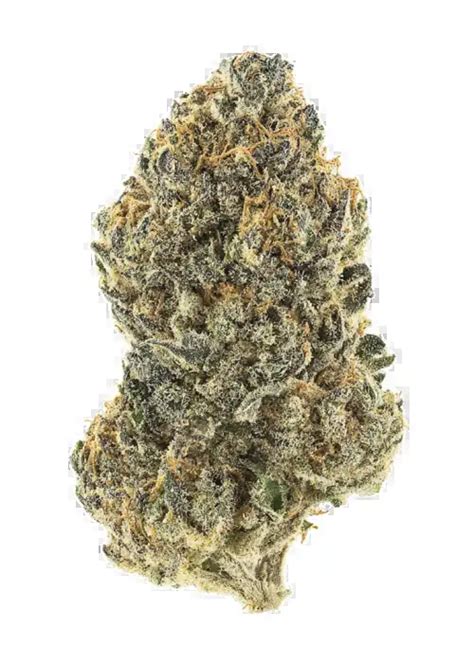 Kroma Cannabis Strain Information Growdiaries