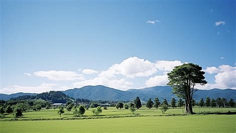 Green Grass Field With Perspective Views Soccer Football Field On A White Background Soccer