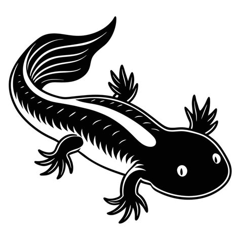 An Axolotl Is Shown In A Black And White Illustration 53670780 Vector