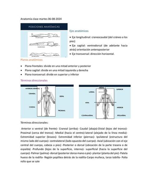 Anatomía Sofía Udocz