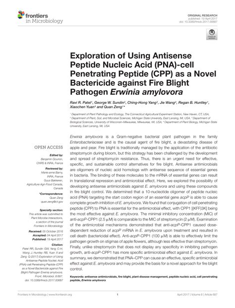 Pdf Exploration Of Using Antisense Peptide Nucleic Acid Pna Cell