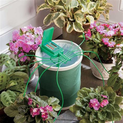 How To Make A Watering System For Plants Design Talk