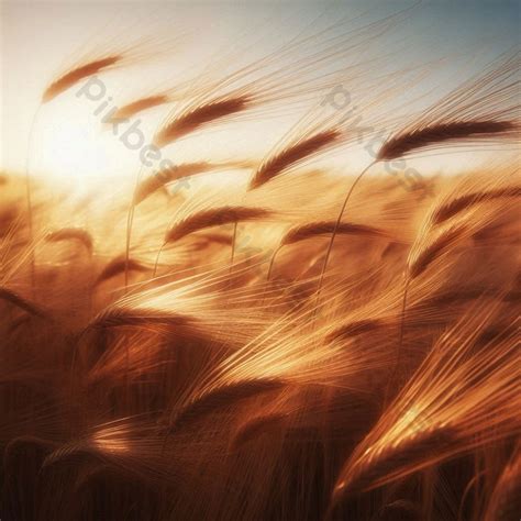 Agroforestry Integrating Trees Into Farming Systems Photo  Free Download Pikbest