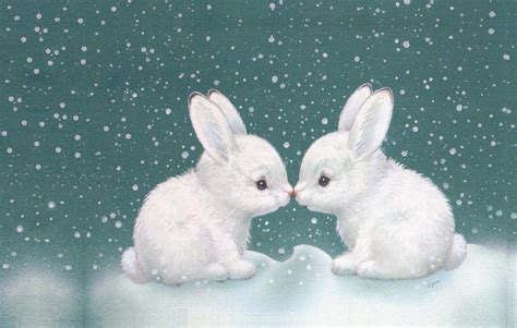 🔥 [20 ] Snow Rabbit Desktop Wallpapers Wallpapersafari