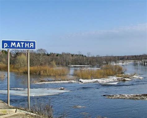 Матня - читайте на Сatcher.fish