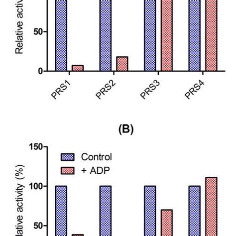 Comparison Of The Activity Of Prpp Synthetase And Enzymesinvolved In Download Scientific