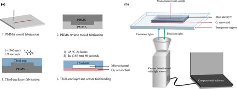 Schematic Diagram Of A The Chip Fabrication Procedure And B The Setup