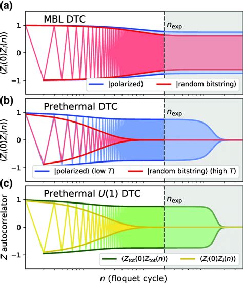 Illustrative Sketch For Distinguishing Mbl And Prethermal Dtcs Even Download Scientific