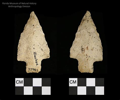 Authentic Hillsborough Contracting Stem Projectile Point Batwing