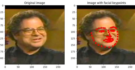 Do Computer Vision Yolo Face Detection Tasks In Python By Syedaliessa Fiverr