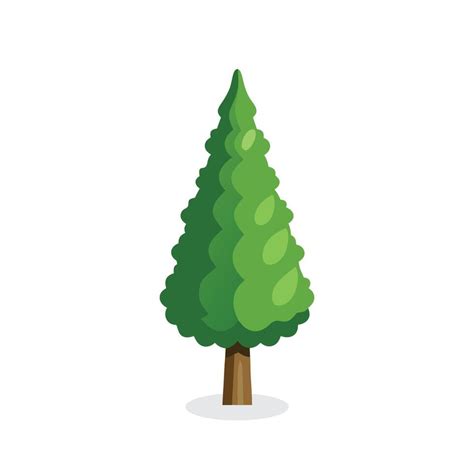 Cypress Tree Isolated Flat Illustration On White Background 50764252 Vector Art At Vecteezy
