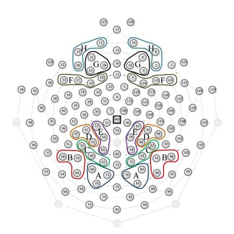 Arrangement Of The High Density Electrode Arrays And The Locations Of Download Scientific