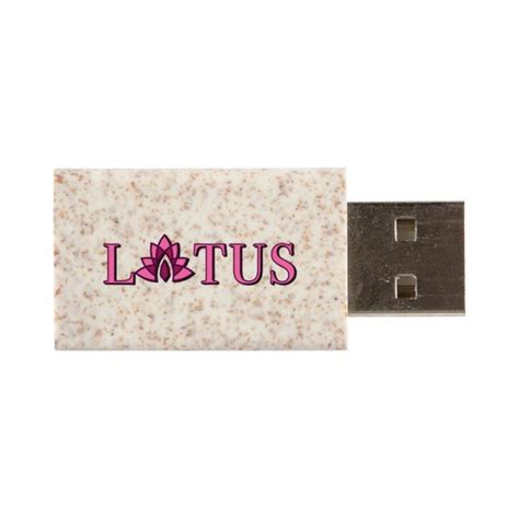 Custom Printed USB Data Blocker Audit Consultant Education Insurance Logistic Risk Promo