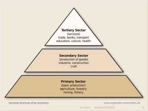 Sectors Of Economy