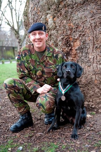 Desde El Peligro En Afganistán Hasta Un Honorable Retiro La Emotiva Historia De Treo El