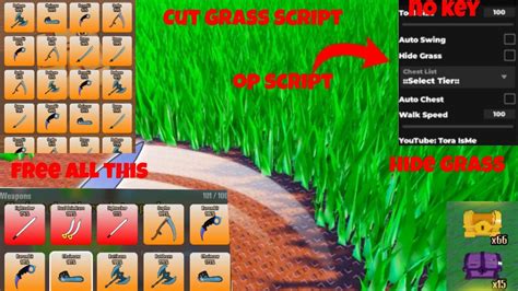 Roblox Cut Grass Script Auto Swing Hide Grass Auto Chest No Key Youtube