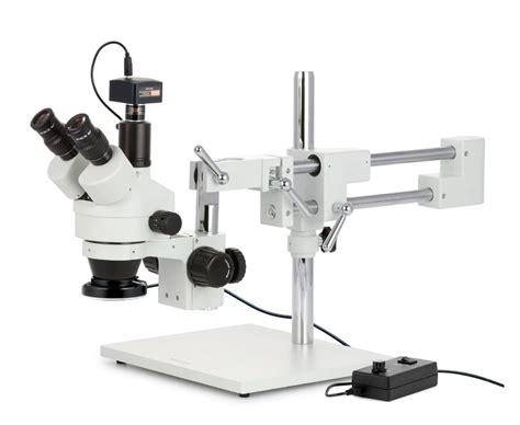 Dissecting Microscopes Microscope Central