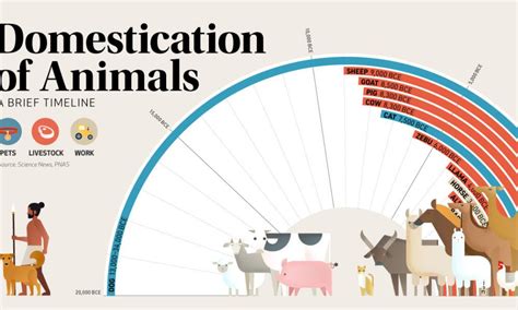 Map Of Animal Domestication Red Fox Genome May Reveal Domestication