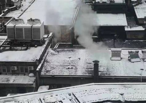 武汉这个曾经被称为三大火炉之一的城市，大年初七迎来了一场雪 知乎
