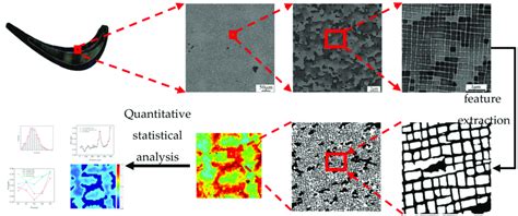 the sem image collection identification extraction and quantitative