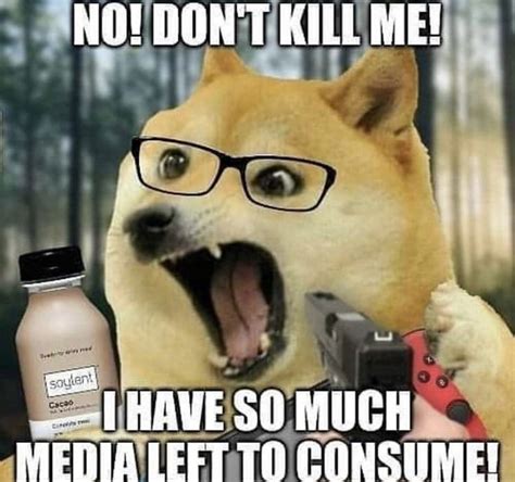Kill Me Meme Dog