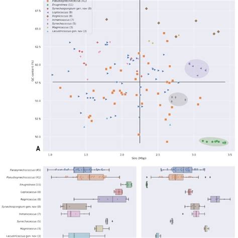 Gc Content And Genome Size Charts A Scatter Plot Of Gc Content And Download Scientific