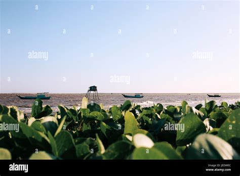Boat On The Beach Green Grass Abstract Background Tan Thanh Go Cong