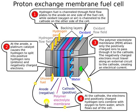 Pib Polymer Electrolyte Membrane Fuel Cells Pemfc Civilsdaily