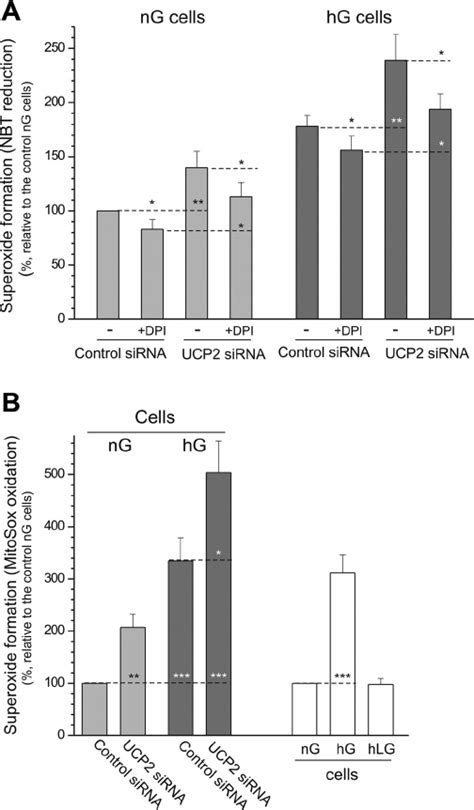 Superoxide Formation In Normal Glucose 55 Mm Or High Glucose 25