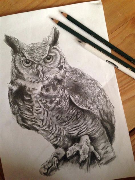 Realistic Owl Drawing At Getdrawings Free Download