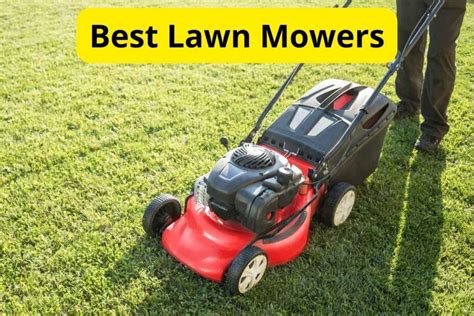 Self-Propelled vs. Push Mowers