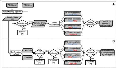 Overall Flow Chart Of The Two Stage Analysis Strategy A De Novo Download Scientific Diagram