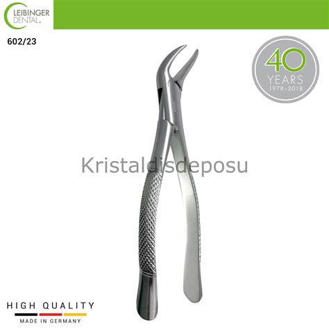 Davye 23 Alt Azı Dişleri İçin Kristal Diş Deposu